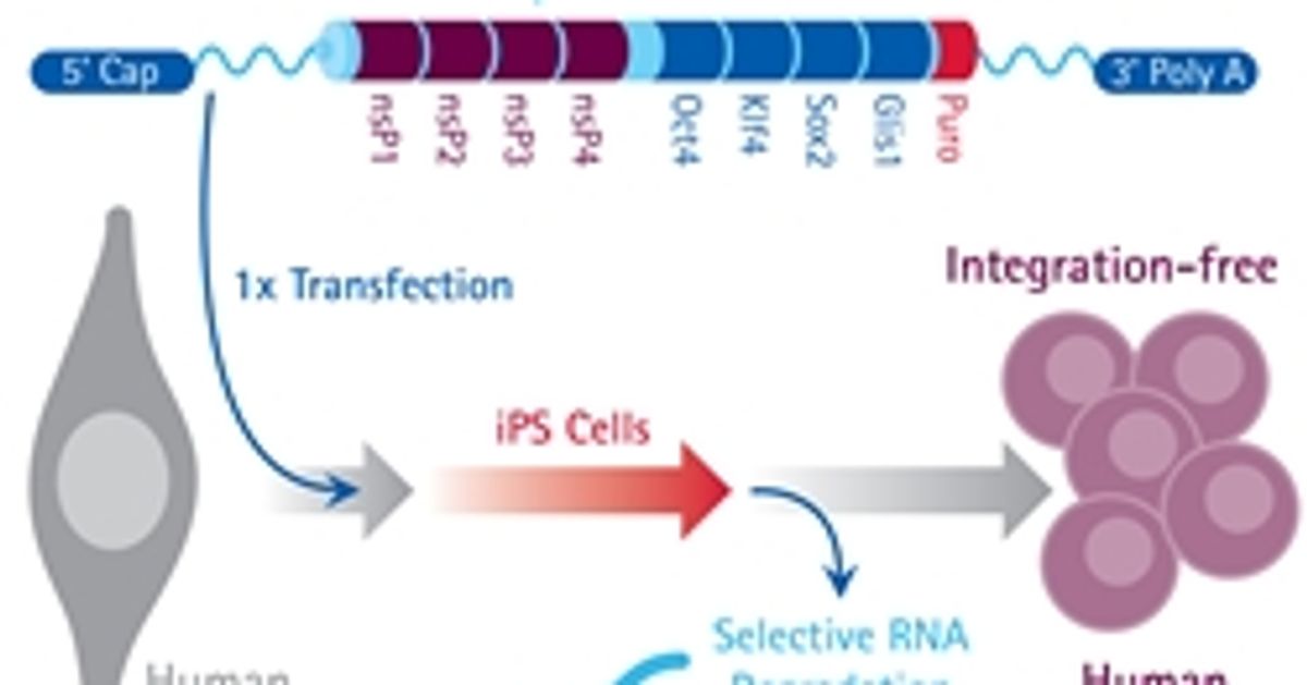 EMD Millipore Launches Simplicon™ RNA Reprogramming Technology for ...