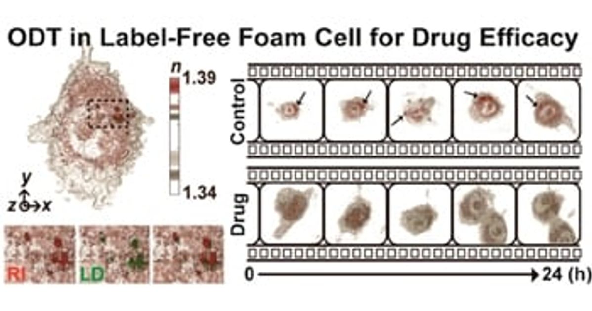 Tomocube HT-Holotomography Microscopes a Game-changer for Live Cell Imaging