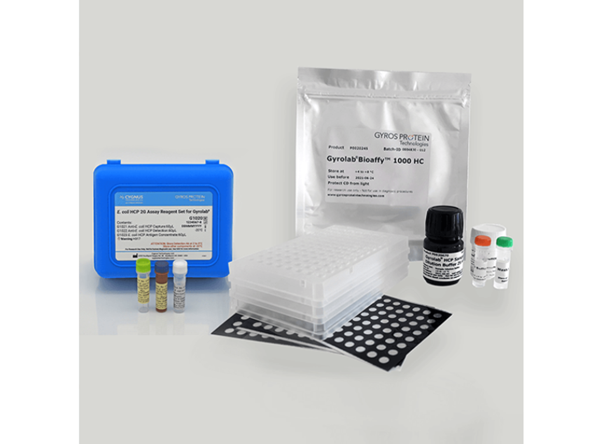 Lipofectamine™ RNAiMAX Transfection Reagent