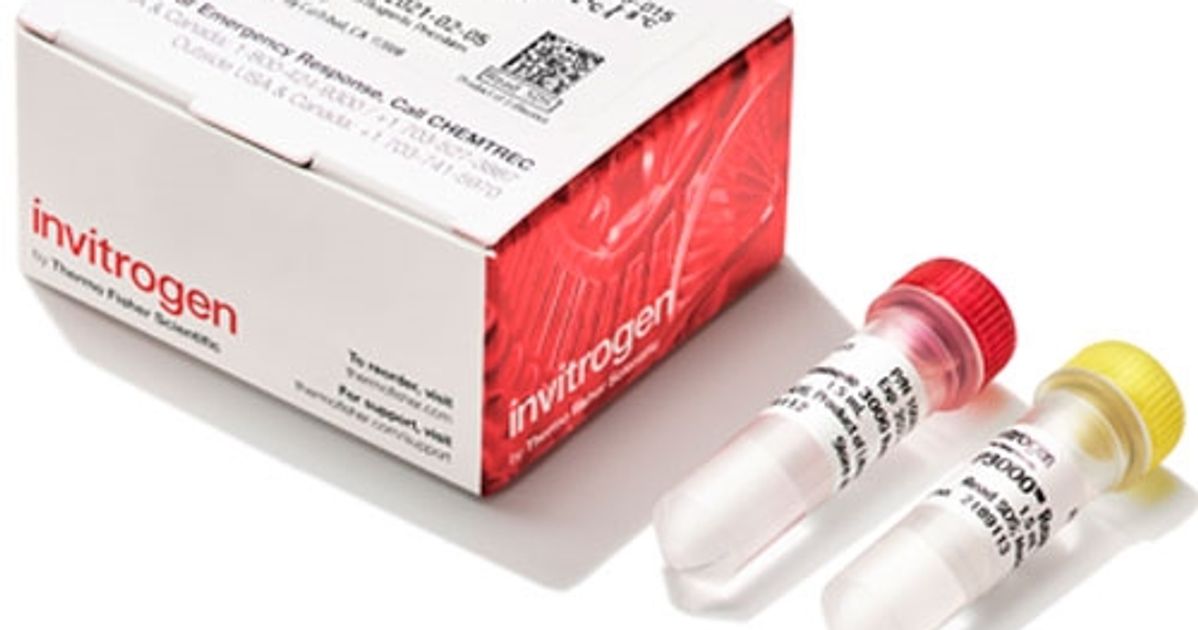 Invitrogen™ Lipofectamine™ 3000 Transfection Reagent