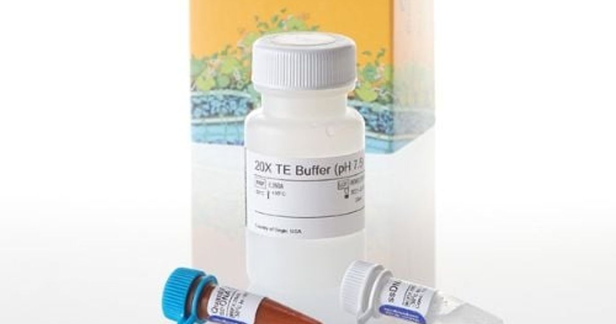 QuantiFluor™ RNA System