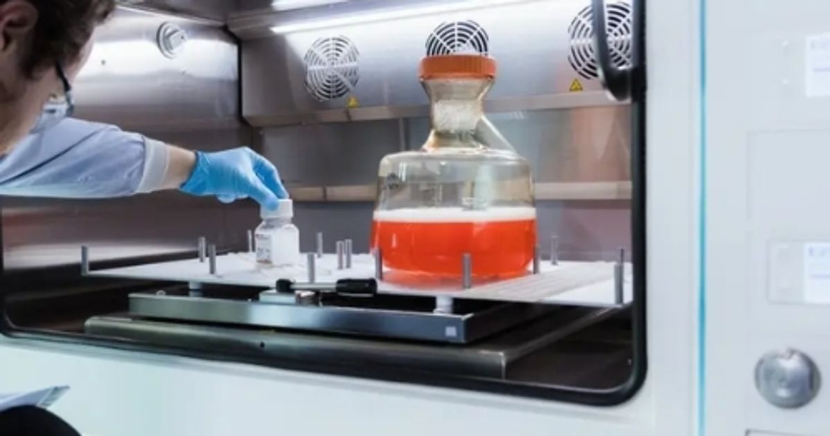 AbZelect™ and AbZelectPRO™ cell line development platforms reviews