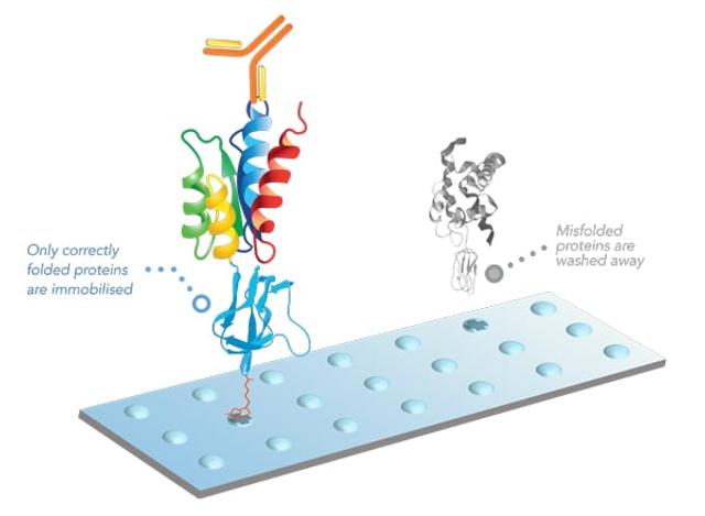 Autoantibodies: The key to early diagnosis and improved patient ...