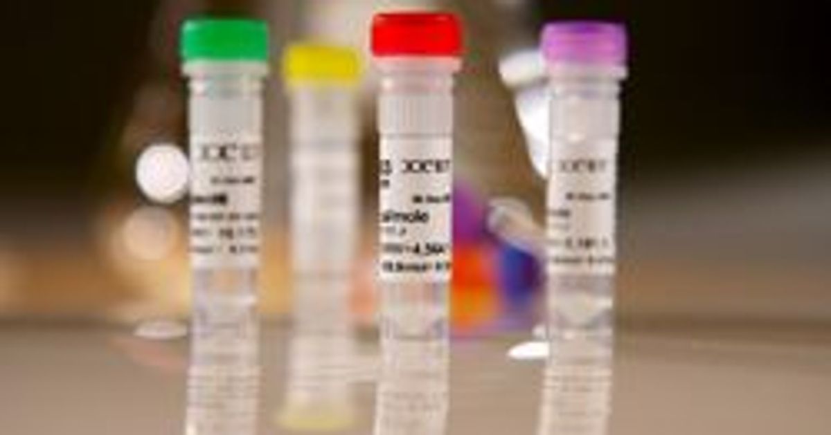 IDT Expands Gene Expression Assay Portfolio to Better Support ...