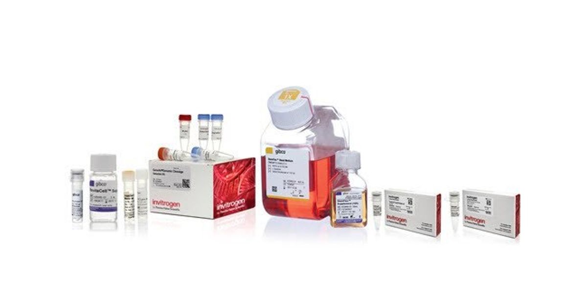 Gibco™ Pluripotent Stem Cell Gene Editing Demo Kit | SelectScience