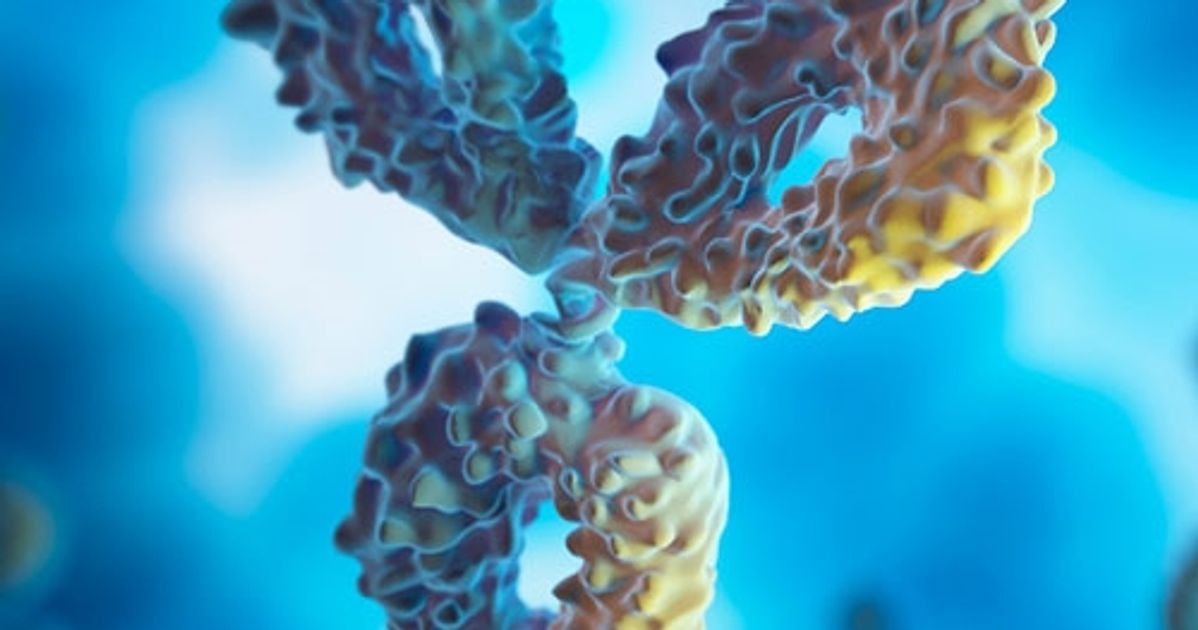 TurboCHO™ Bi-specific Antibody Expression reviews