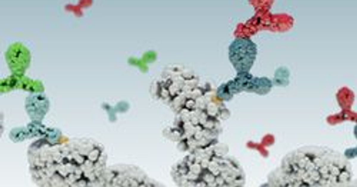 Nanoscale Protein Array Assay Service