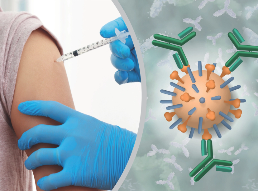 Vaccine-preventable diseases: Diagnostics and immunity evaluation