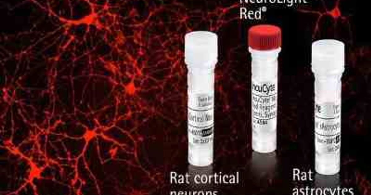Buy Incucyte® NeuroPrime Red Cell and Reagent Kit Read Reviews