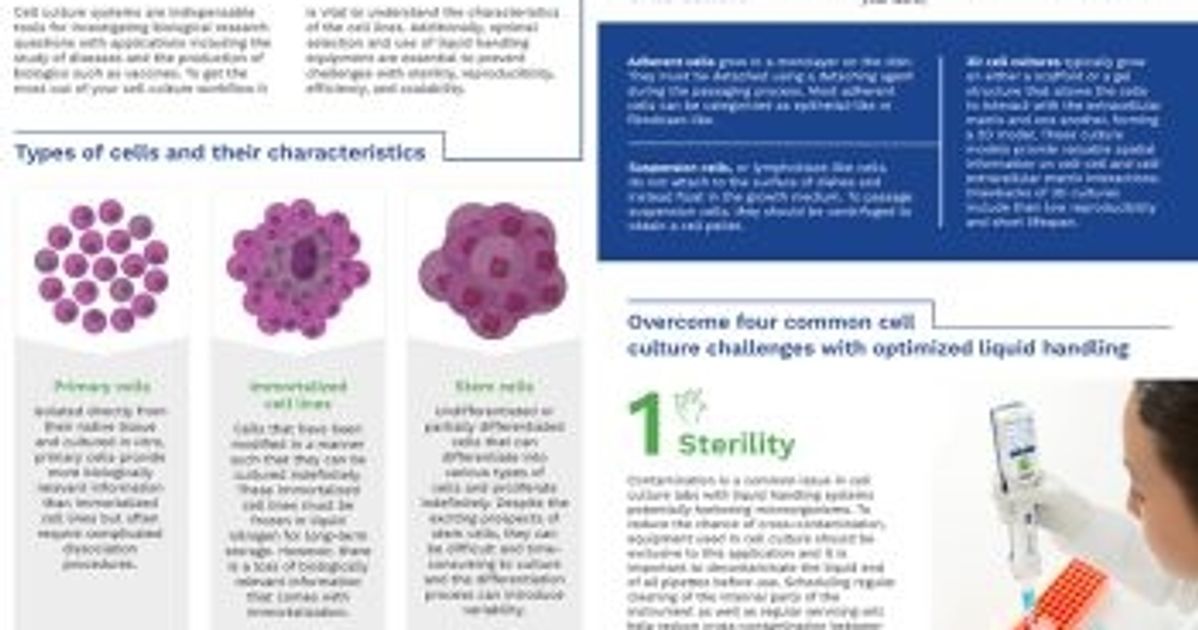 Steps to ensure cell culture success