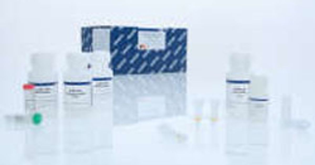 QIAamp RNA Blood Mini Kit (50)