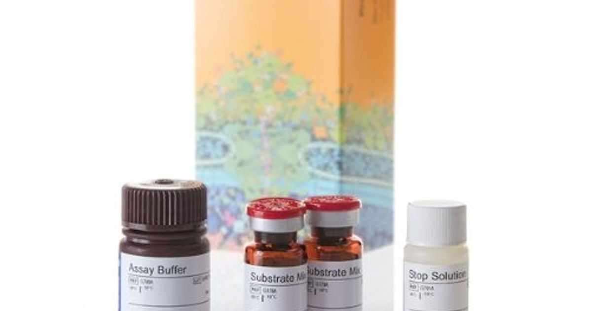 CytoTox-ONE™ Homogeneous Membrane Integrity Assay