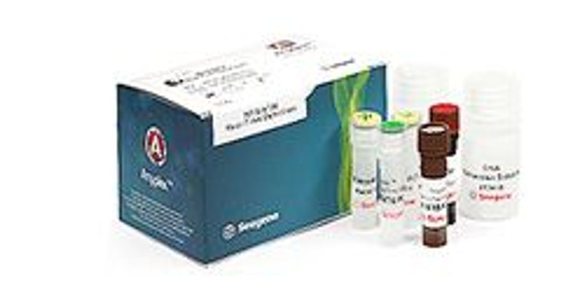 Seegene Introduces Anyplex plus MTB/NTM/DR-TB Real-time Test, a One ...