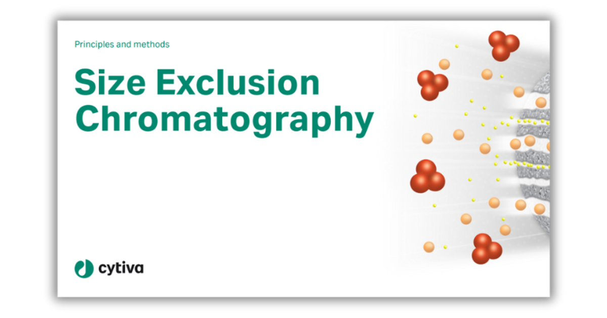 Principles and solutions of size exclusion chromatography