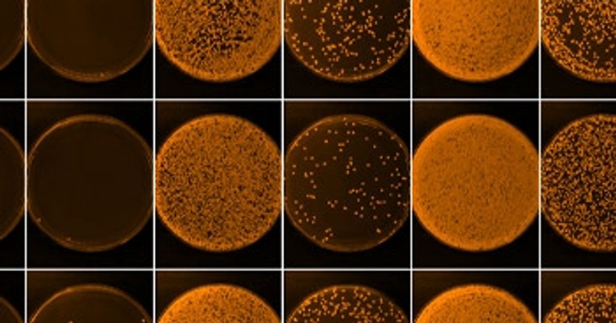 Study reveals a novel strategy for using compounds as ‘anti-evolution ...