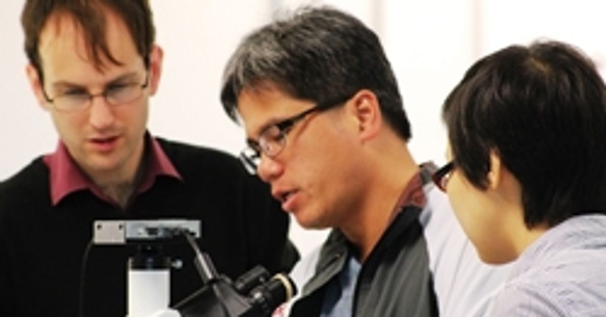 University of Cordoba Research Group Publishes Nanoparticle Tracking ... University of Cordoba Research Group Publishes Nanoparticle Tracking ...