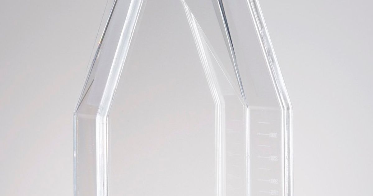 Falcon® 150cm² Rectangular Canted Neck Cell Culture Flask with Plug ...