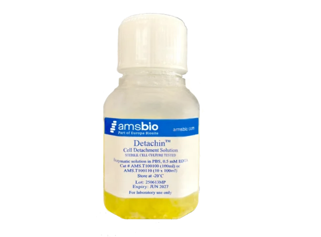 AMS Biotechnology launches Detachin™ cell detachment solution