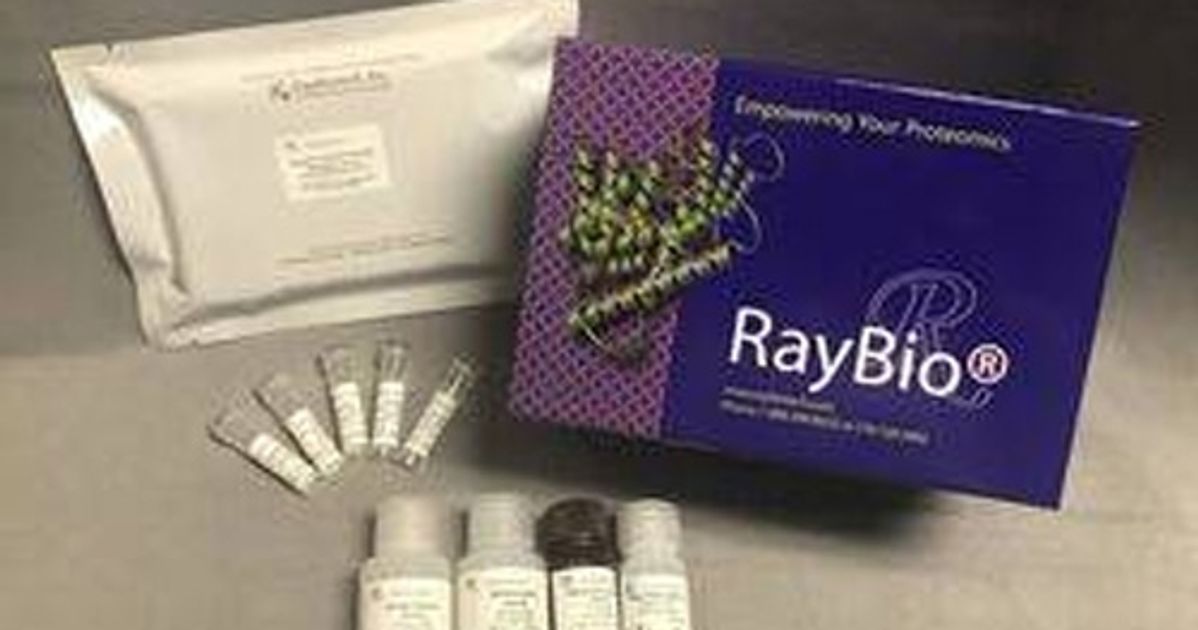 COVID-19 Spike-ACE2 Binding Assay Kit reviews