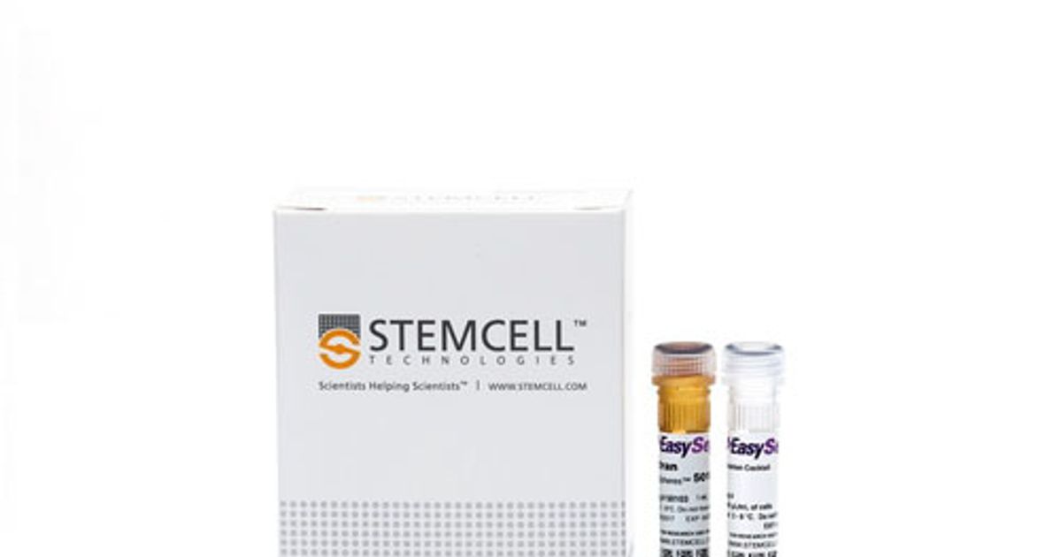 Buy EasySep™ Human CD8+ T Cell Isolation Kit Read Reviews