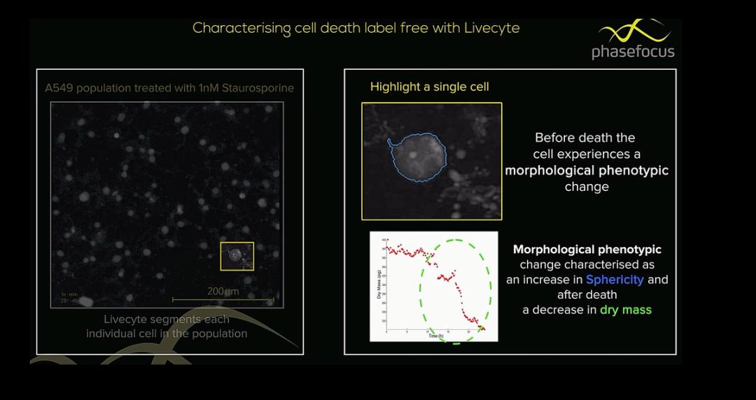 Livecyte® Cell Analysis System reviews