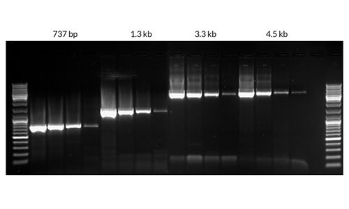 KAPA Long Range PCR Kits
