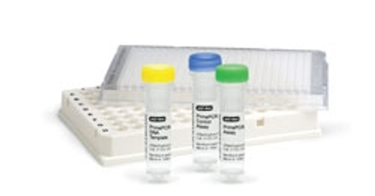 Bio-Rad Introduces Wet-Lab Validated Real-Time PCR Assays for Rat Genome