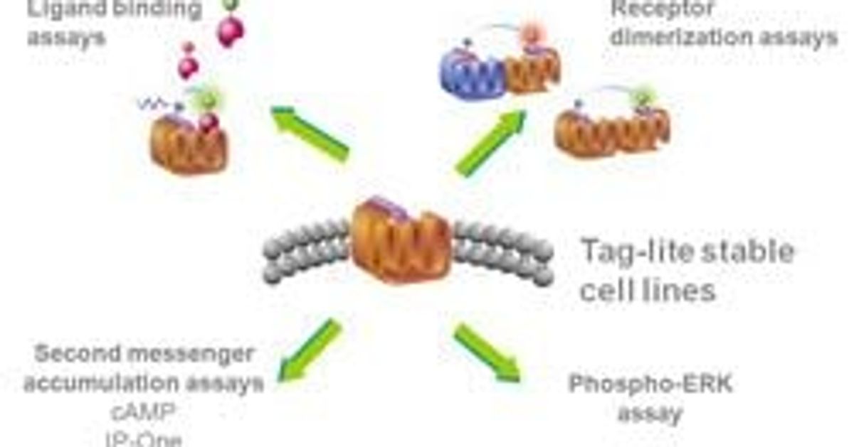 Tag-lite® cell-lines and reagents, a multimodal environment streamlined ...