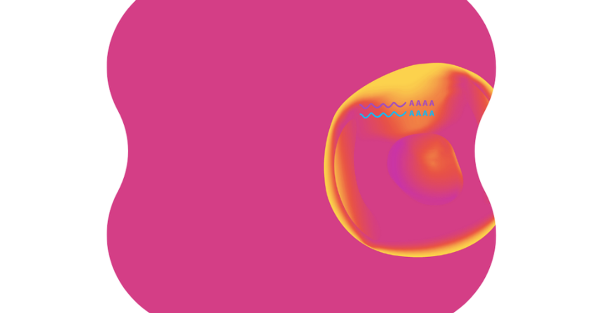 Single Cell RNA Sequencing Kit