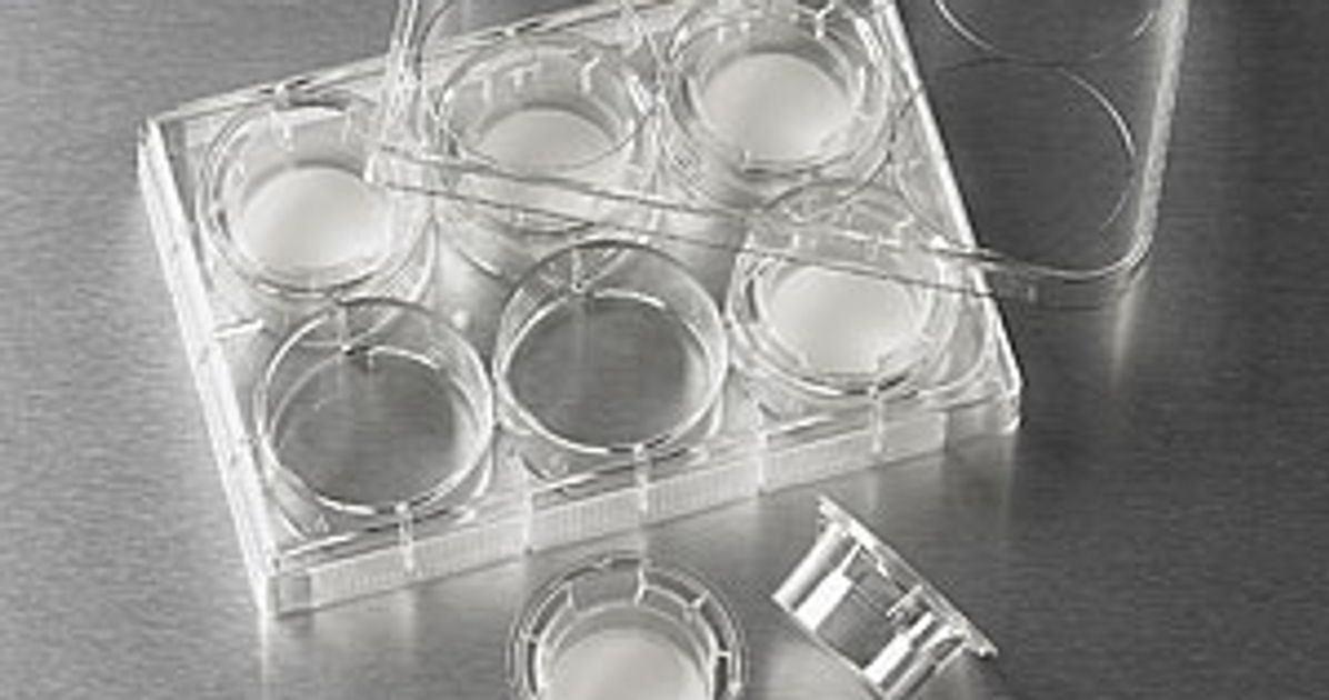 24 mm Transwell® with 8.0 µm Pore Polycarbonate Membrane Insert ...