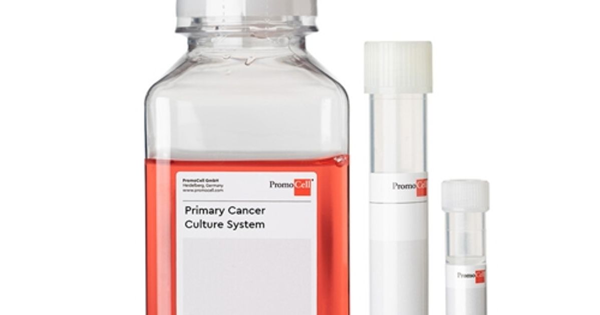 Primary Cancer Culture System