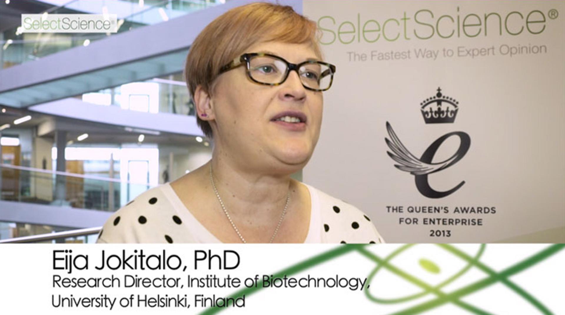 Understanding the Endoplasmic Reticulum’s Structure, Function and Dynamics