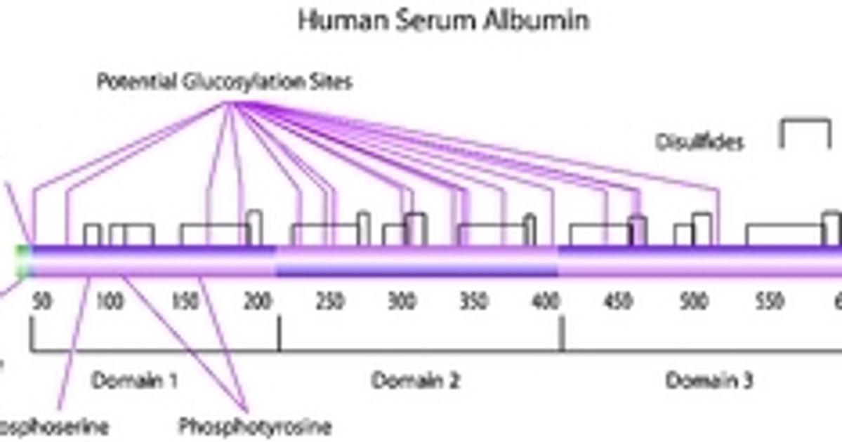 Buy Albumin from human serum Read Reviews