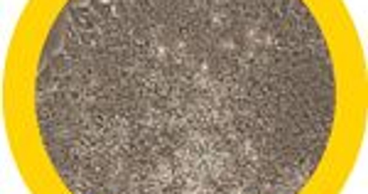 Cellular Dynamics to Produce Human iPSC Lines Under cGMP Conditions