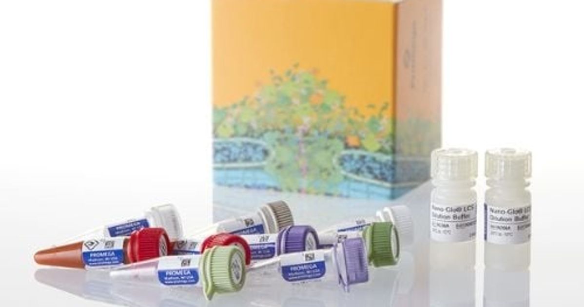 NanoBiT® PPI Starter Systems