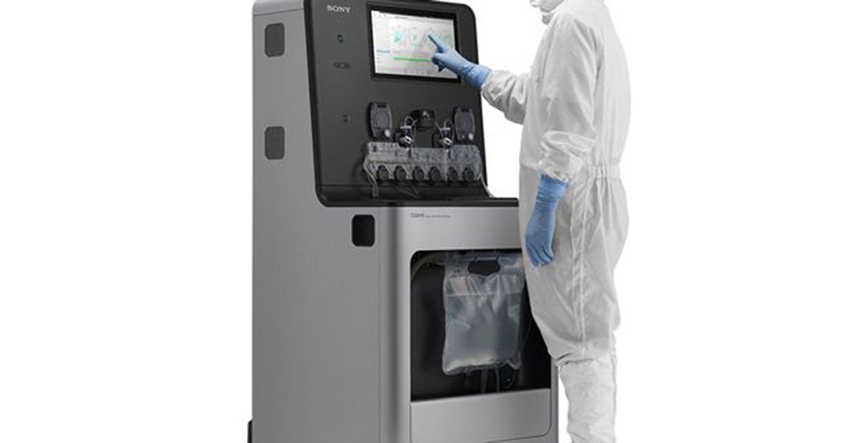Multiparametric selection enables GMP-ready cell production