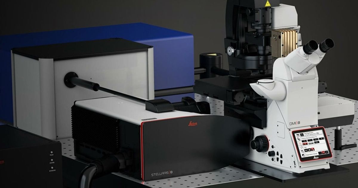 STELLARIS 8 Coherent Raman Scattering (CRS) Microscope