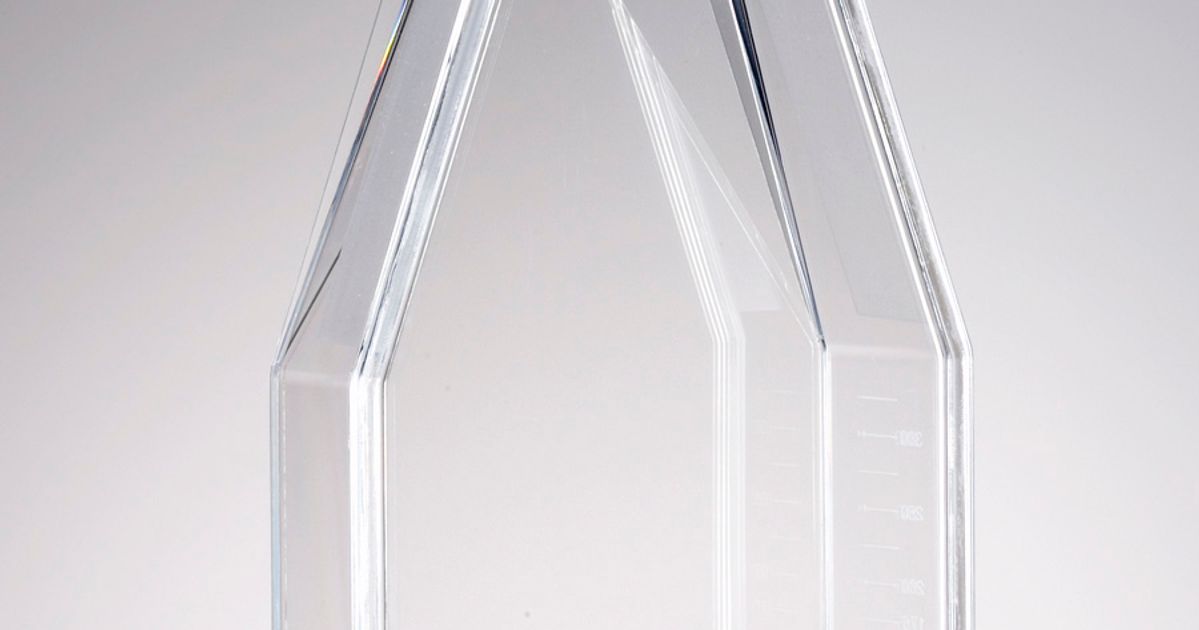 Falcon® 150cm² Rectangular Canted Neck Cell Culture Flask with Vented ...