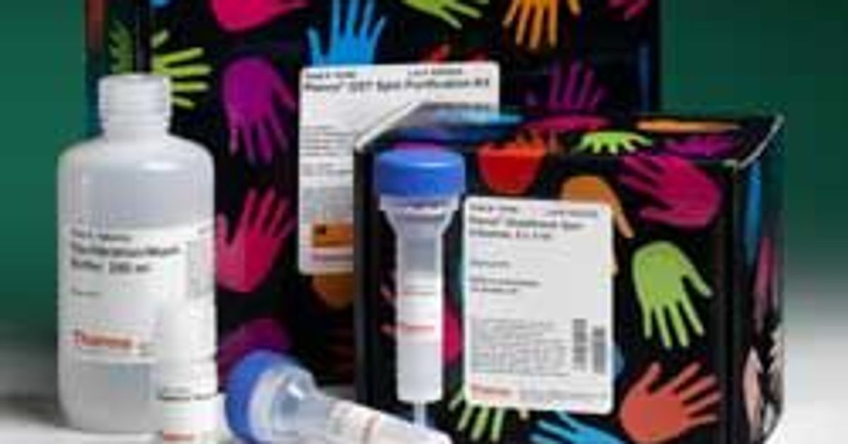 Cost-Effective Glutathione Agarose for GST-Tagged Protein Purification ...