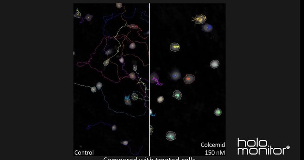 Automatic single cell tracking with HoloMonitor App Suite: Accurate ...