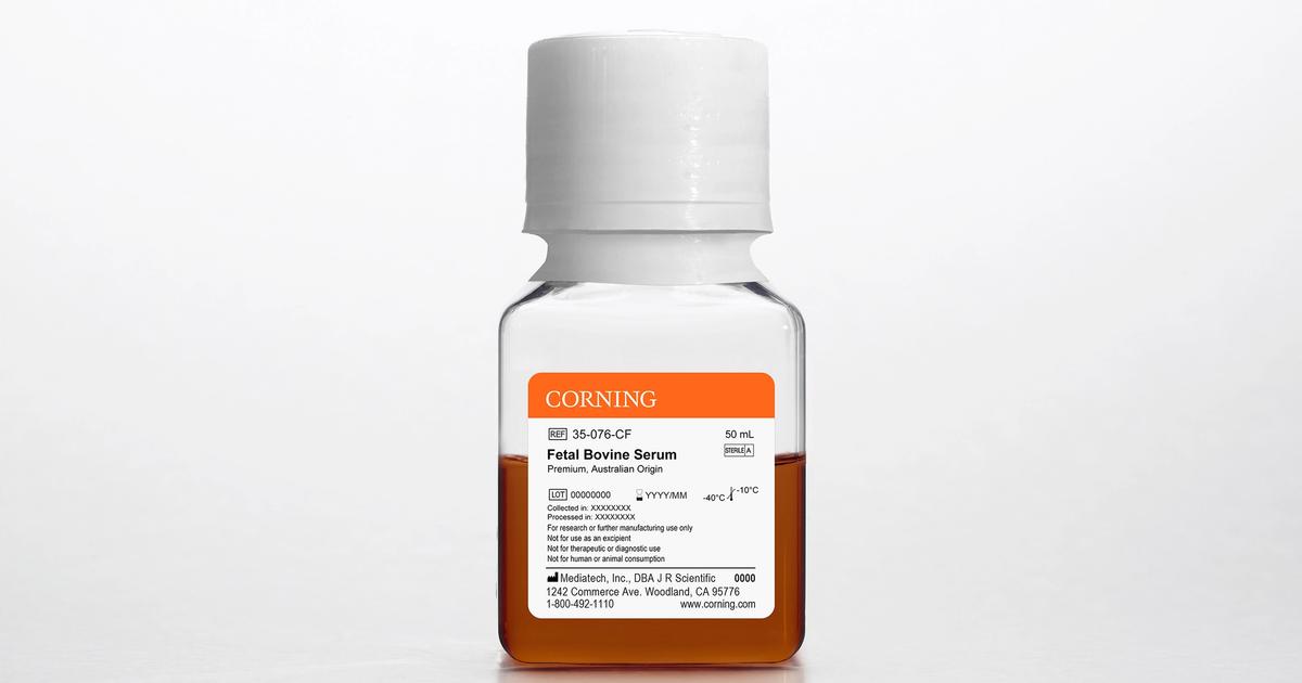 Buy Corning® Fetal Bovine Serum, 50 mL, Australian Origin Read Reviews