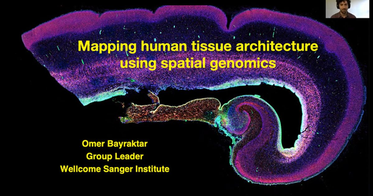 Mapping human tissue architecture using spatial genomics