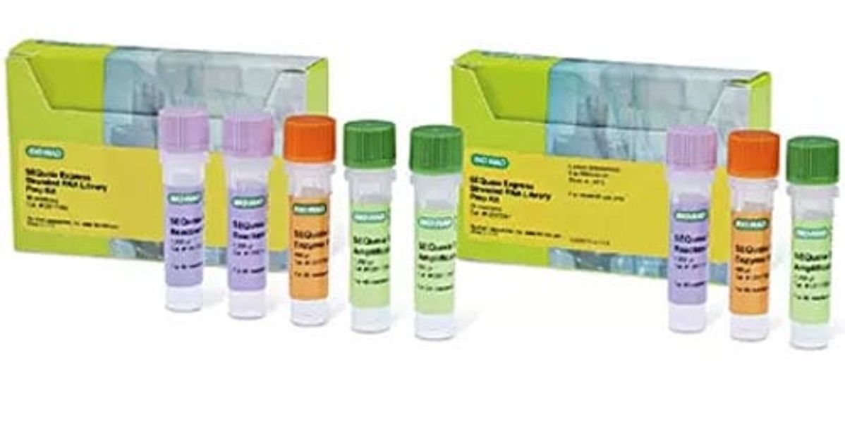 SEQuoia Express Stranded RNA Library Prep Kit | SelectScience