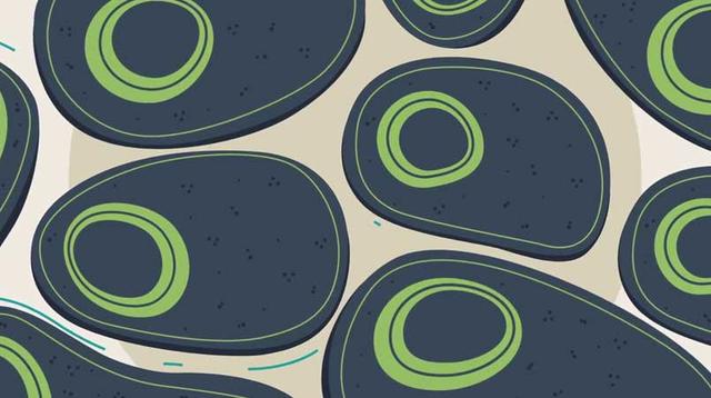 EnSight™ Multimode Plate Reader reviews