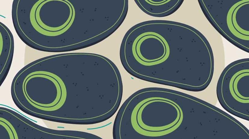 EnSight™ Multimode Plate Reader reviews