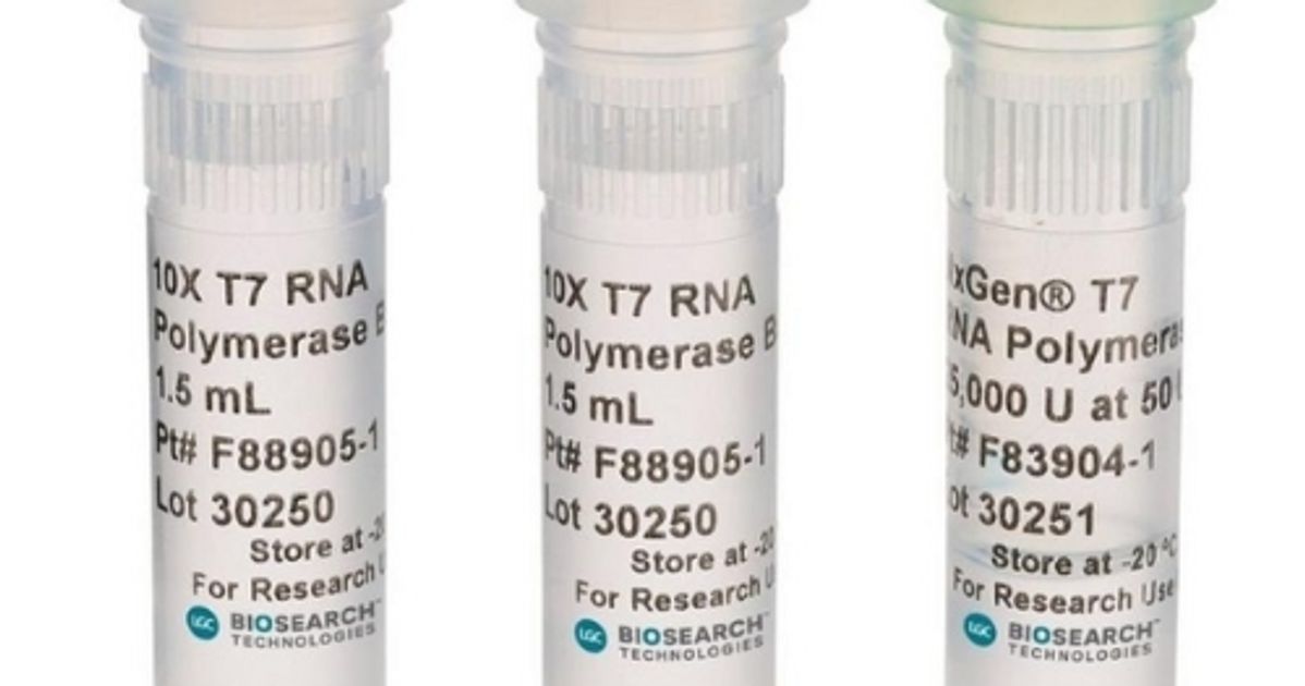 NxGen T7 RNA Polymerase | SelectScience