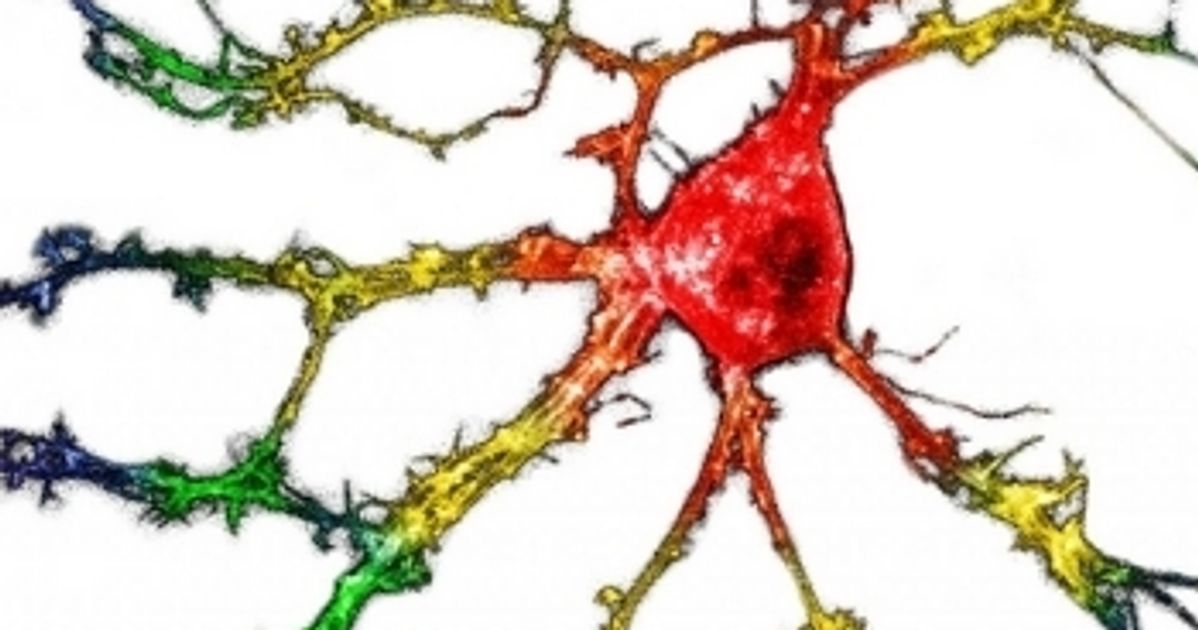 PsychLight sensor to enable discovery of new psychiatric drugs