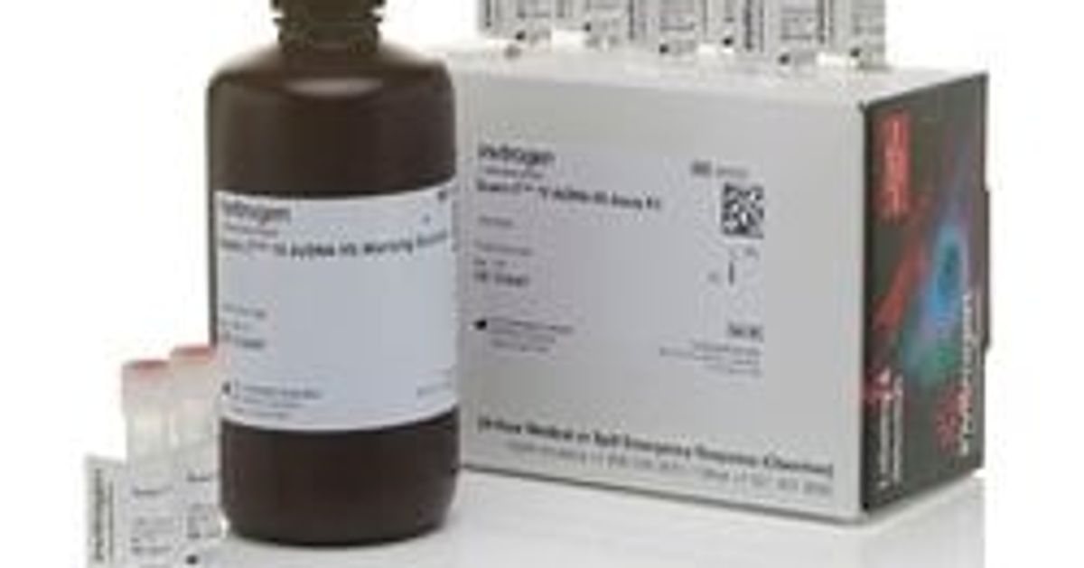 Quant-iT™ 1X dsDNA HS Assay | SelectScience