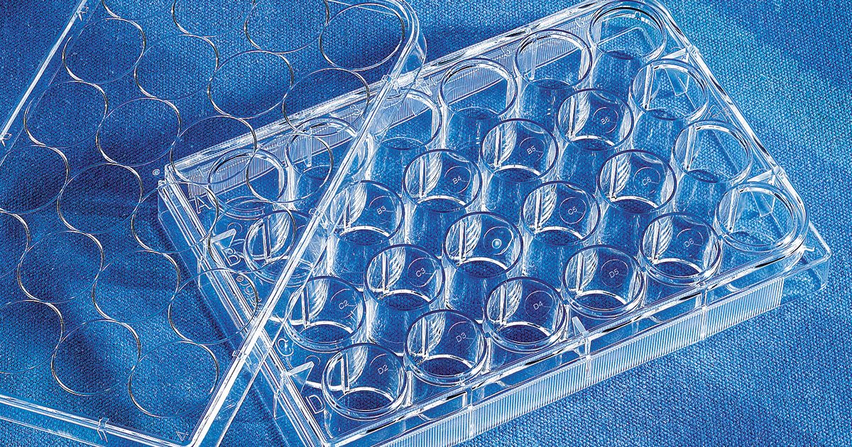 Costar® 24-well Clear TC-treated Multiple Well Plates, Individually ...