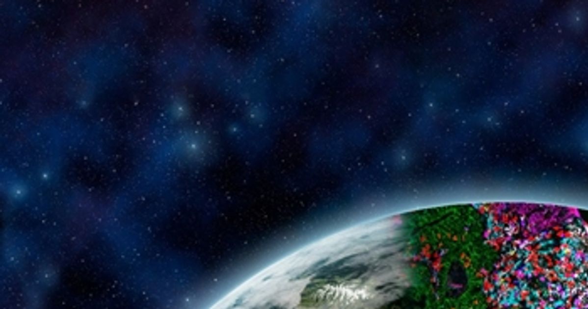 The power of spatial biology: A microscopy guide